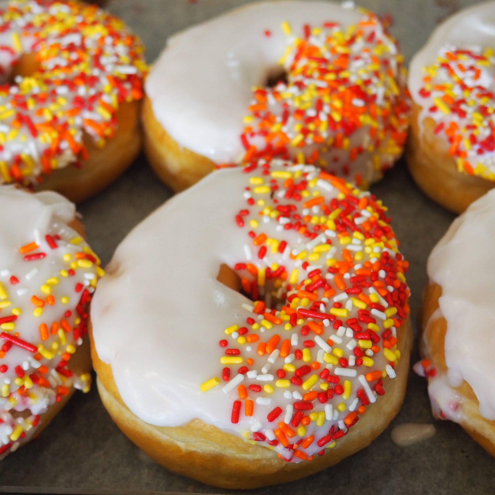 Vanilla Iced Ring Donuts- Jimmies1 Dozen - Oakmont Bakery