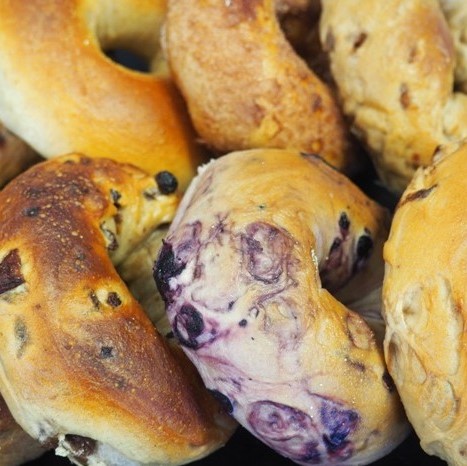 Bagels- 6 Packs - Oakmont Bakery