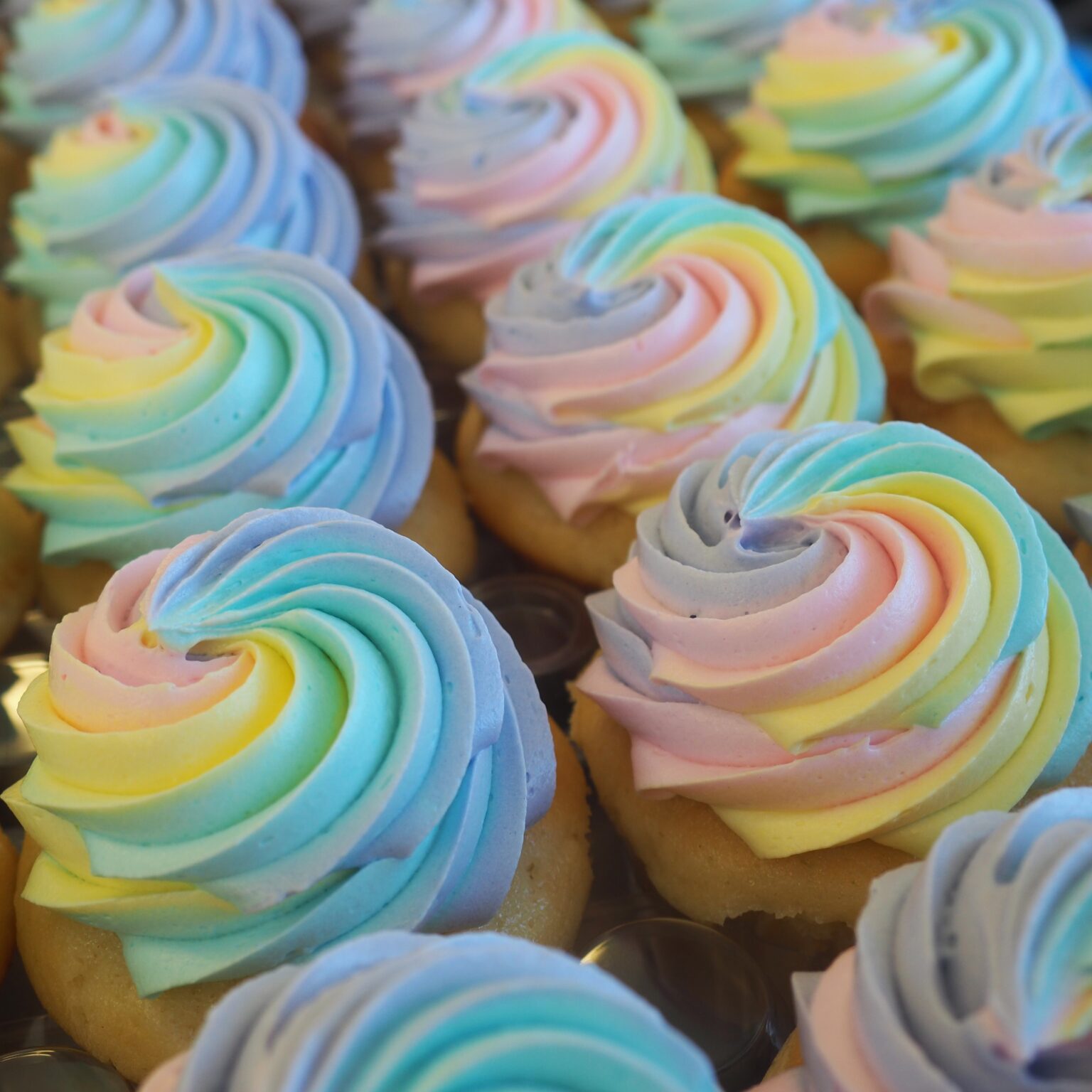 Multi Colored Swirl1 Dozen Cupcakes Oakmont Bakery